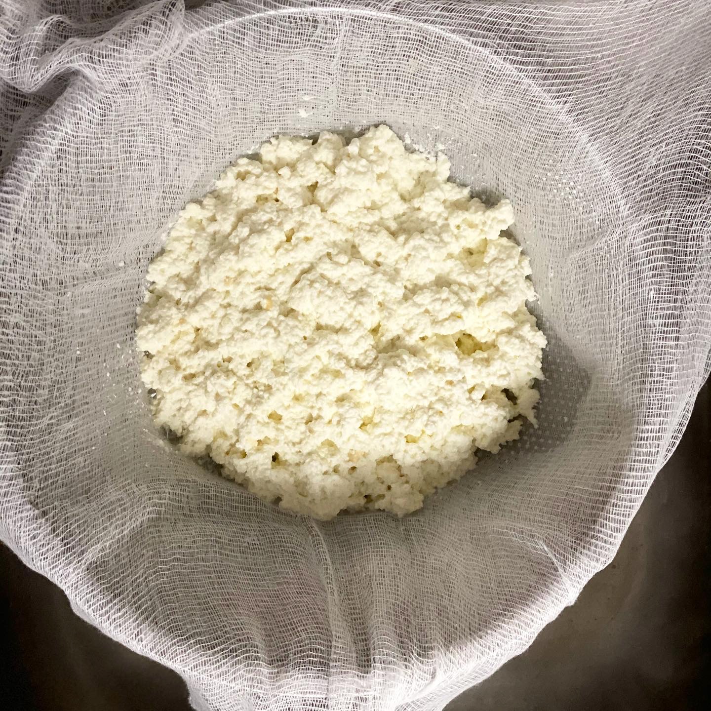 Paneer Cheese - Edible San Diego