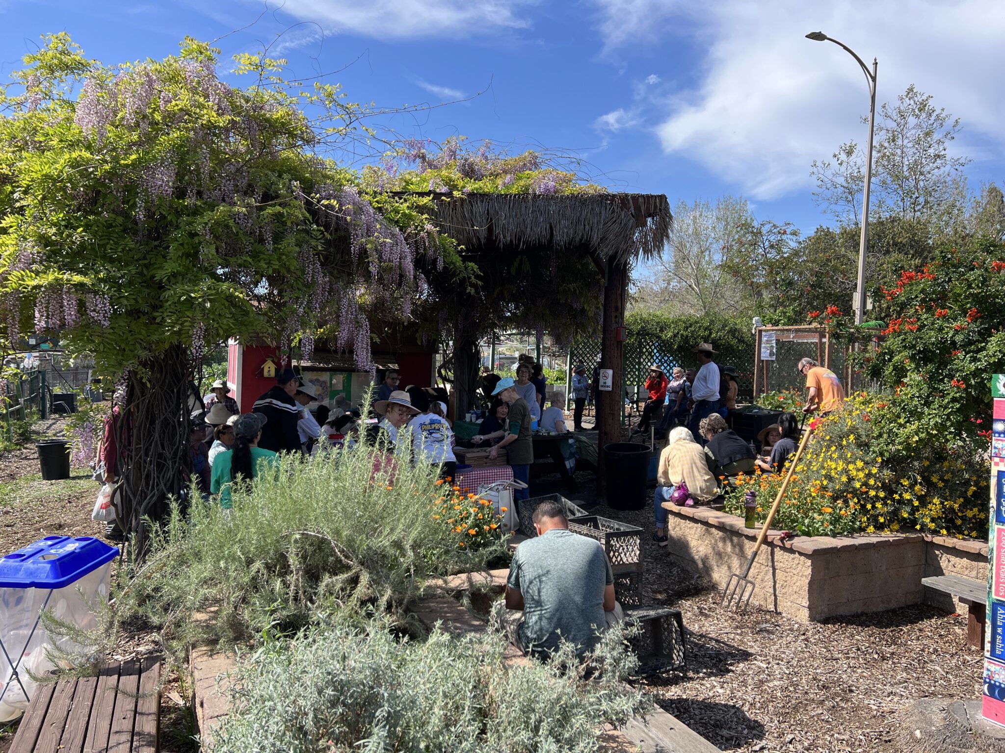 15 Community Gardens in San Diego County - Edible San Diego